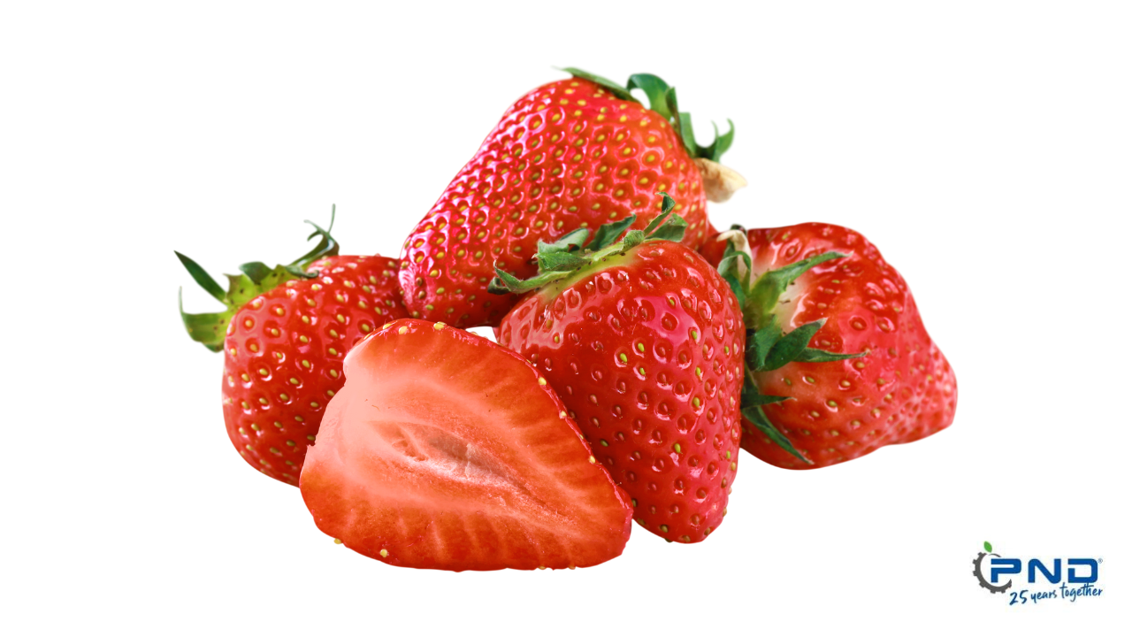 FRUIT - Summit Machinery